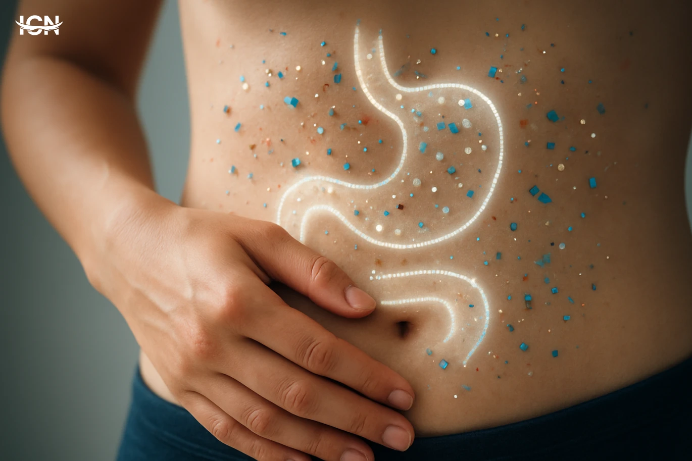 How Microplastics Move Through Our Bodies